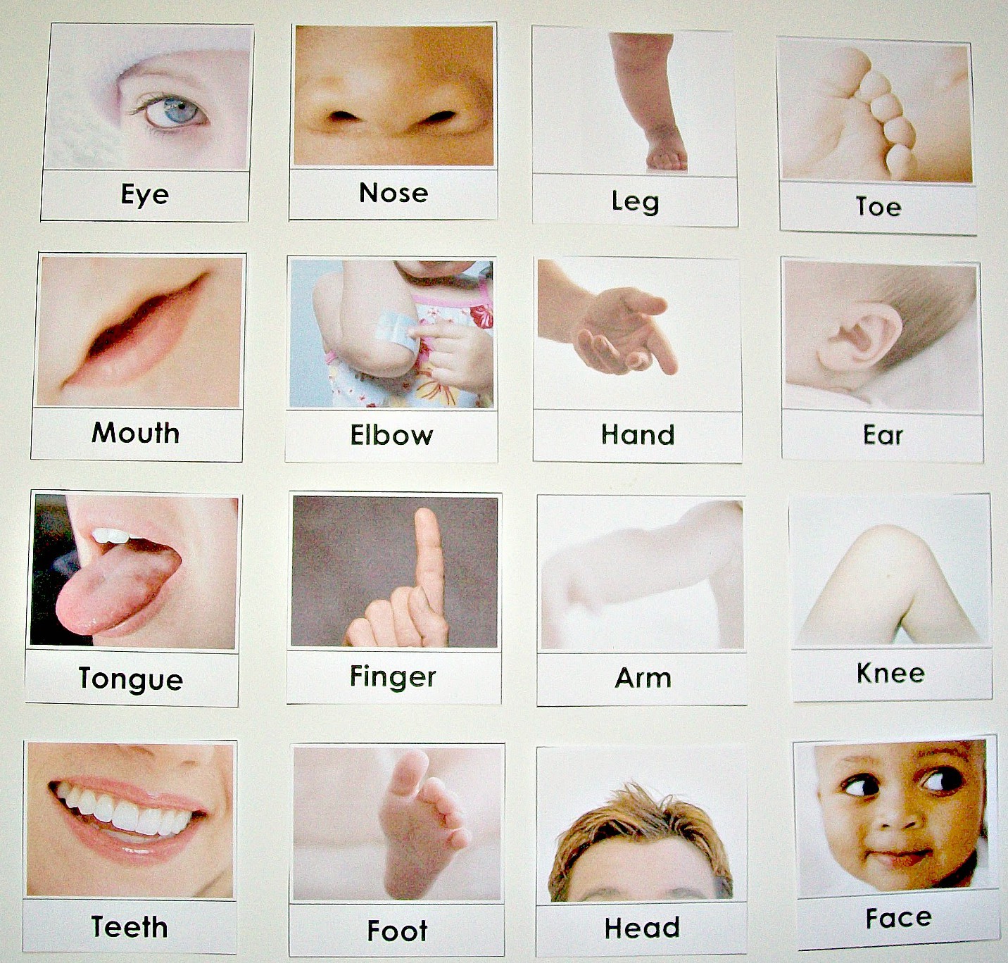 Pää, olkapää, peppu, polvet, varpaat – Puhetta terapeutista